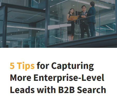 5 Tips for Capturing More Enterprise-Level Leads with B2B Search